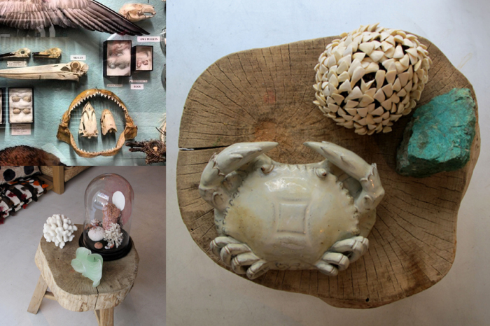 CABINET OF WONDER | degruyter